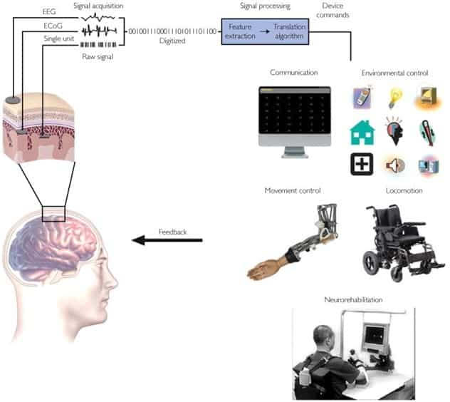 Brain Computer Interface BCI System Overview Applications